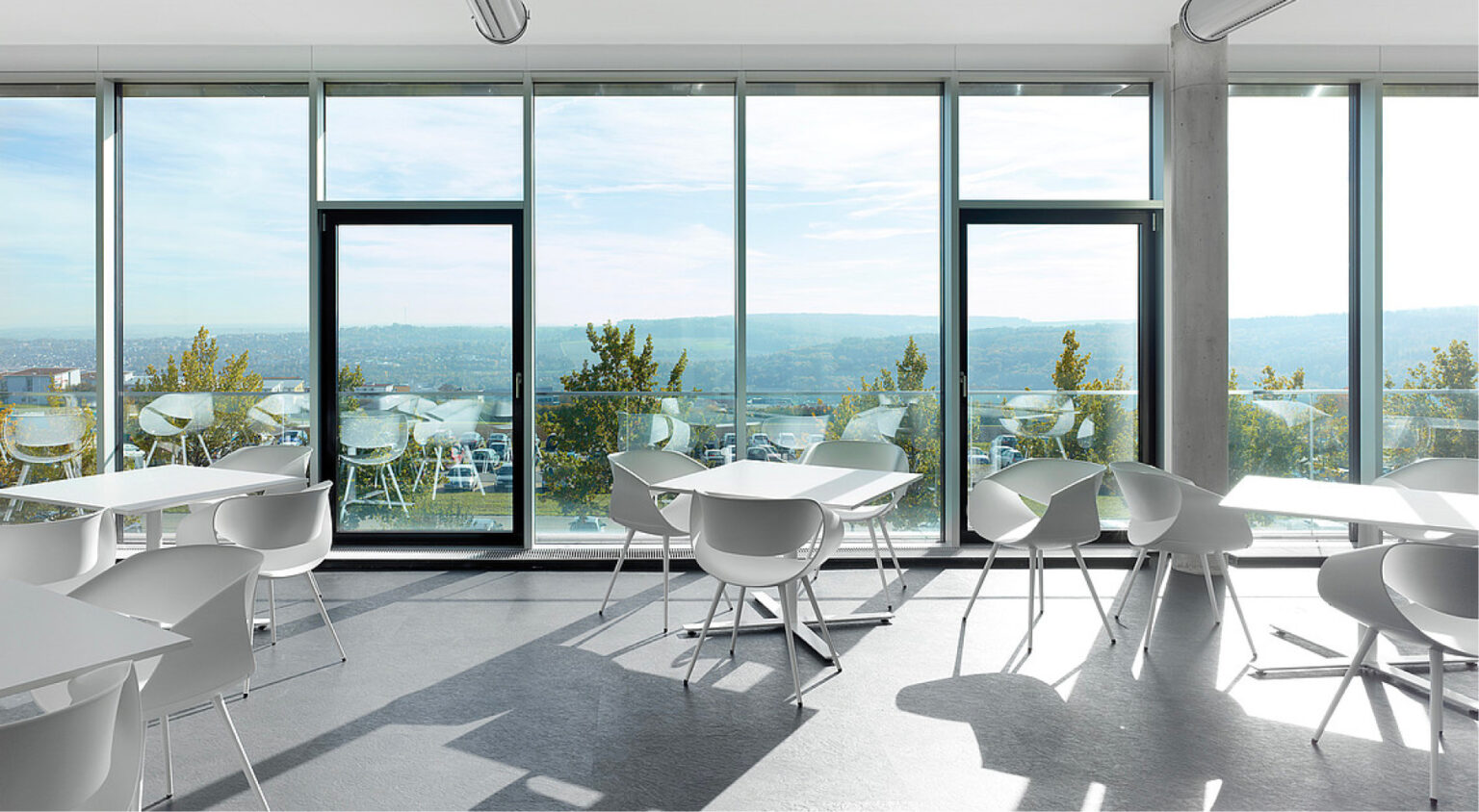 Little Perillo - Dauphin