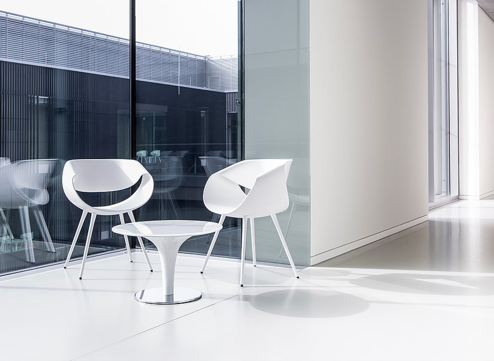 Little Perillo – Dauphin